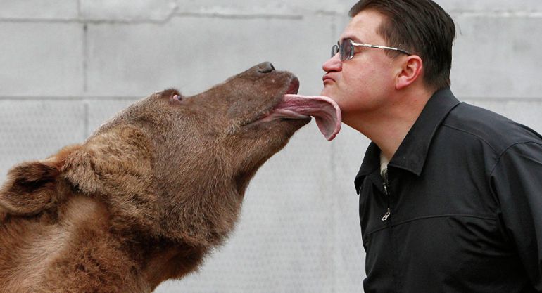 Conoce a Stepan, el oso que fue adoptado por una familia rusa ...