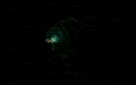 ¿Es el "Kraken" la imagen de Google maps? - Carpe Diem Total