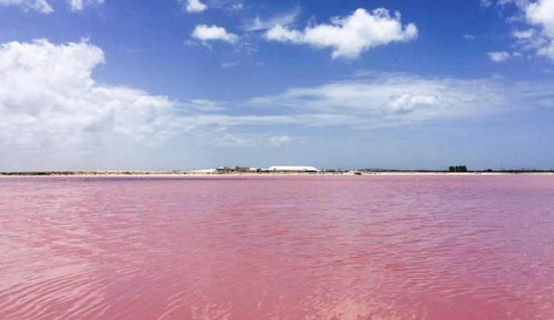 El misterio detrás del único lago rosa en México | Sociedad | W Radio ...