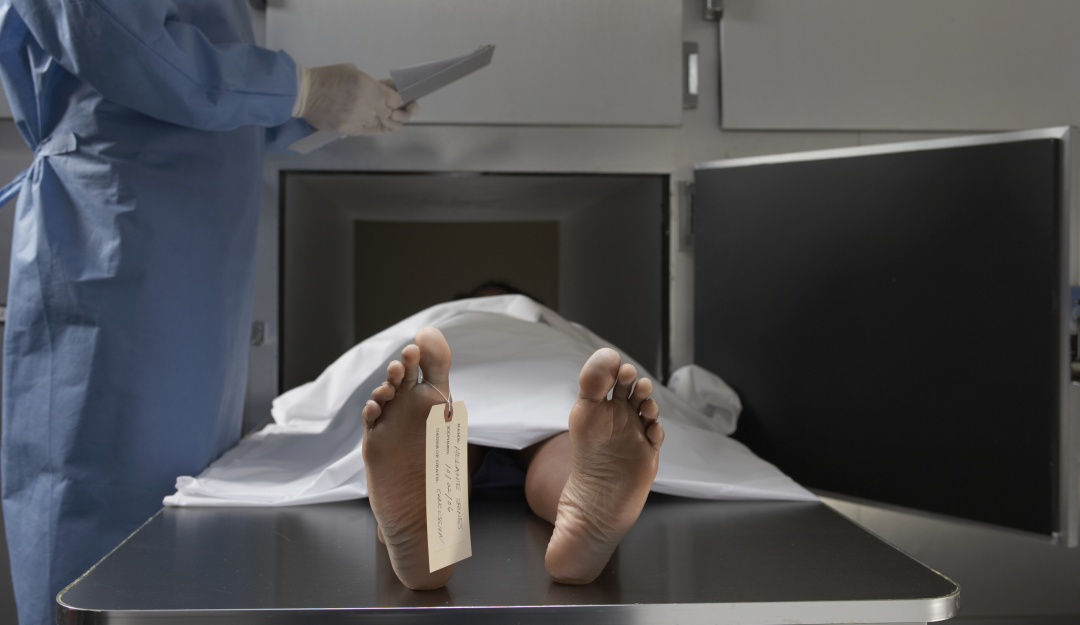 ¿Qué pasa con tu cuerpo al morir? | Martha Debayle | W Radio Mexico