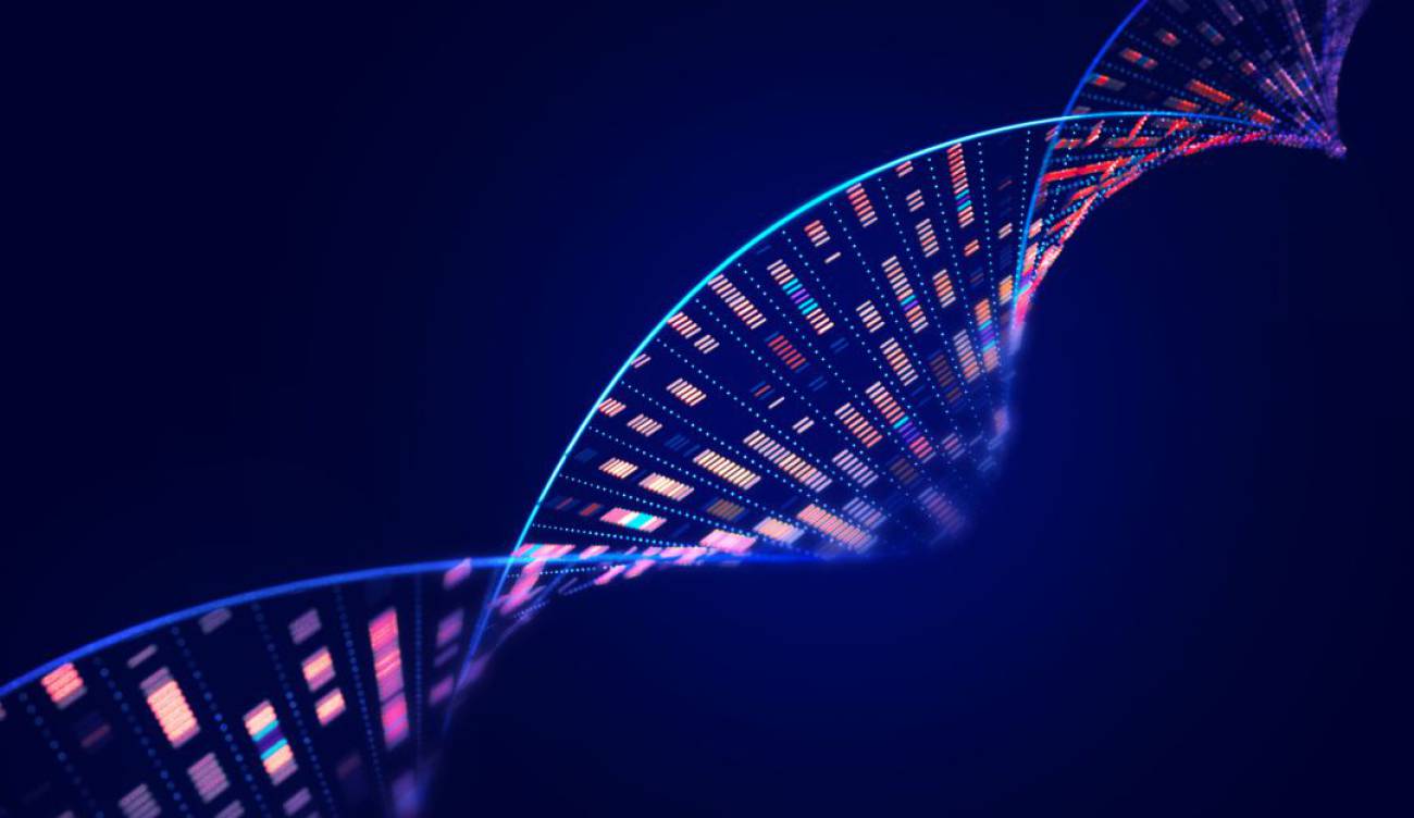 Genoma con Martha Debayle: Formas en las que la genómica está cambiando ...