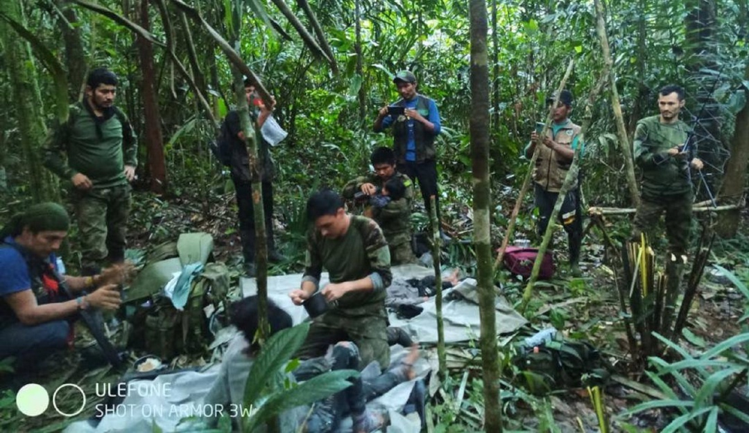 Aparecen Los Niños Perdidos En Una Selva De Colombia Internacional