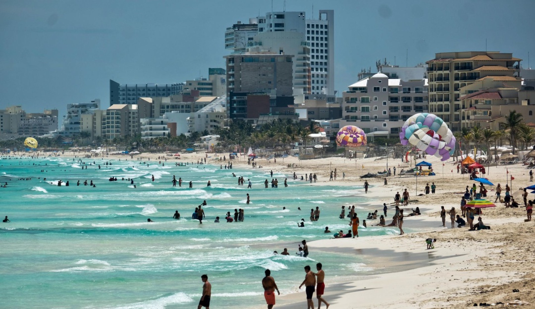 Bacteria come carne vibrio vulnificus: Bacteria “come carne” llega al ...